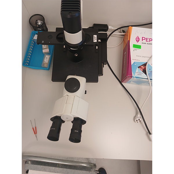 מיקרוסקופים- יצרנים שונים - Ex-lab