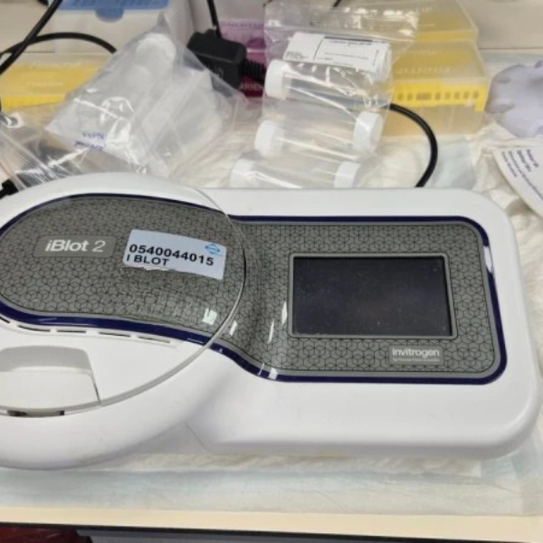 Invitrogen- IBlot -Gel transfer system - Ex-lab